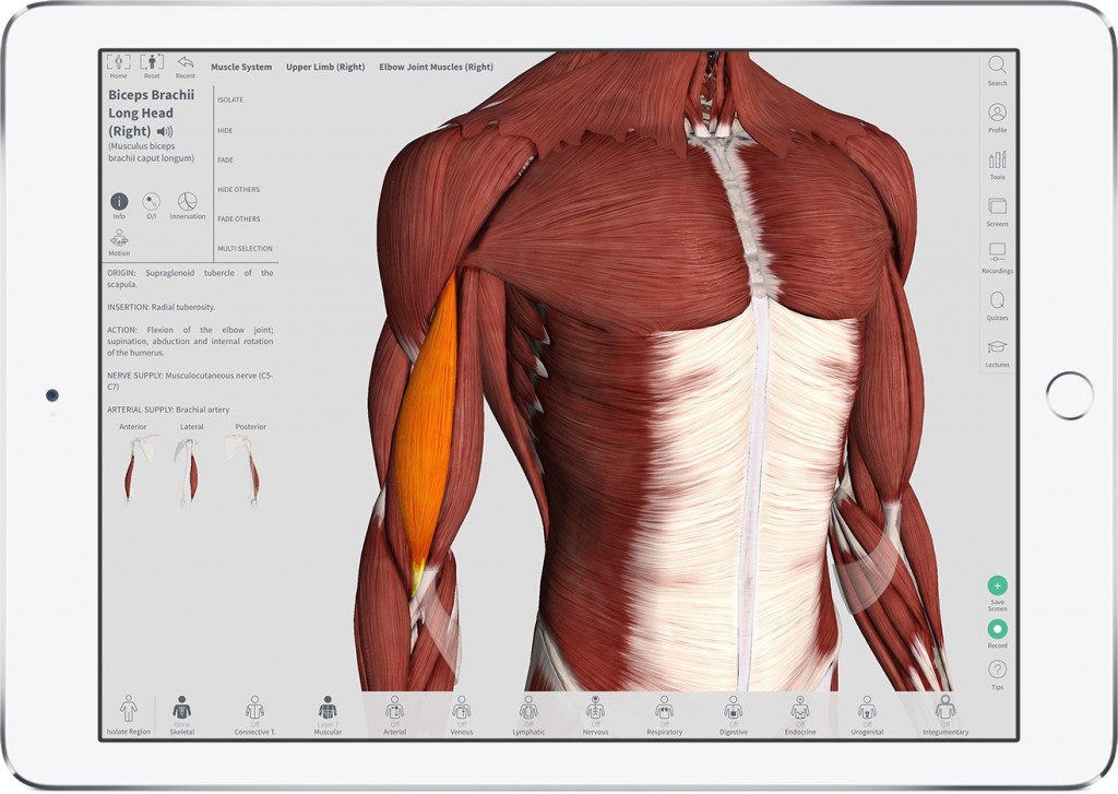 Apple Design Awards - 12 apps favoritas da Apple de 2016