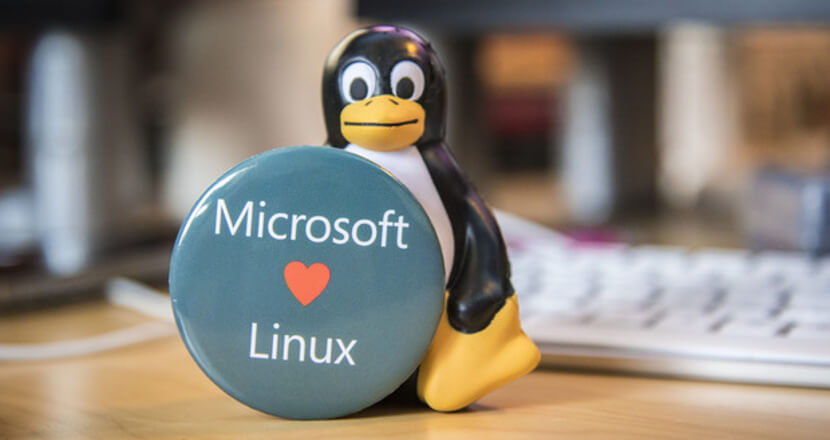Microsoft ama cada vez mais o Linux! Saiba porquê...