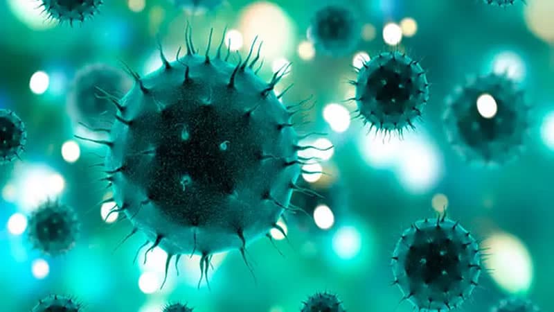 Veja o primeiro vídeo de um vírus a crescer em tempo real