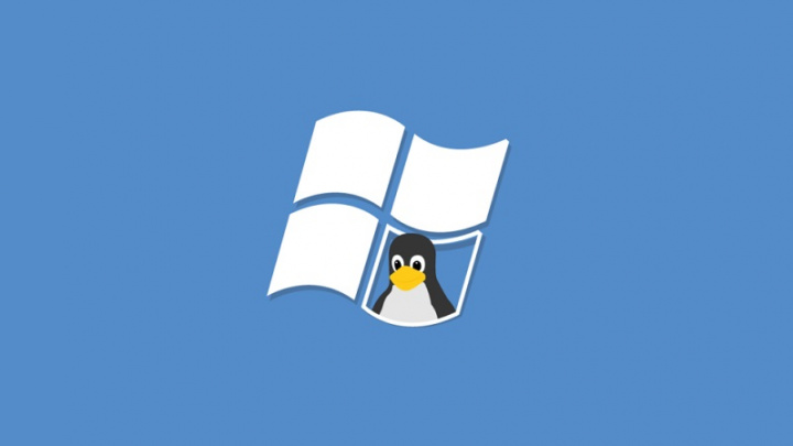 China: Linux pode substituir o Windows dentro de 3 a 10 anos