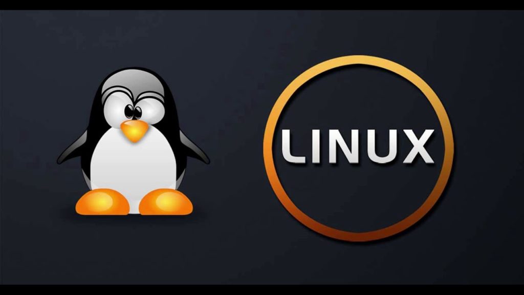 TOP 5 distribuições Linux mais populares em 2020! Usa alguma delas?