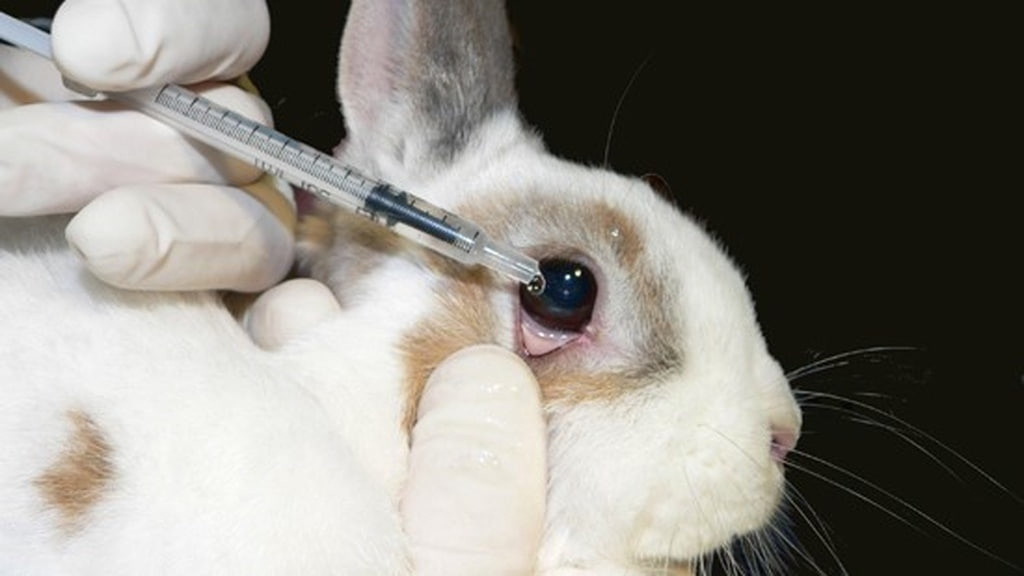 Pele impressa em 3D poderá poupar animais aos testes de cosmética