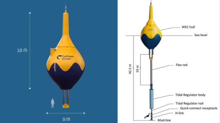 CorPower C4: Coração humano inspira tecnologia que gera eletricidade