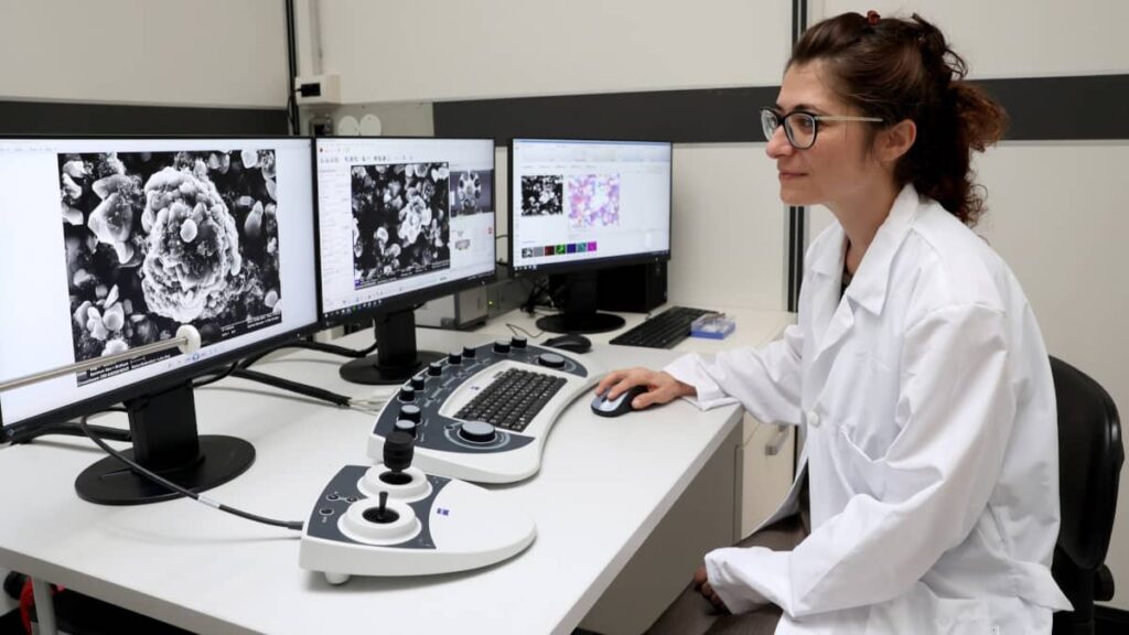 Ferrari inaugura E-Cells Lab para melhorar o desempenho das suas baterias