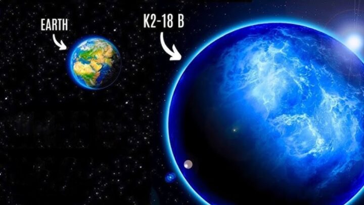 Planeta K2-18b: astrónomos detetam um possível sinal de vida num ...