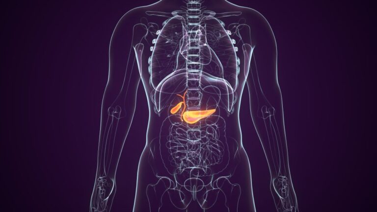 Cancro do pâncreas: oncologistas choraram com avanços no tratamento